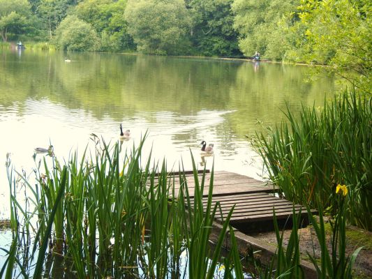 Apley Pool
